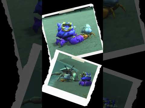 Today in World of Warcraft Fathom Pet Debut #twitch #fyp #wow #worldofwarcraft #fun #pets