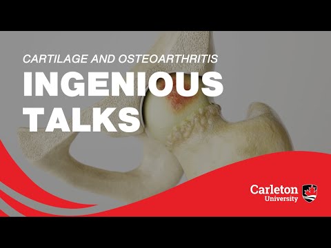 Cartilage and Osteoarthritis: Biomechanics and Medical Image Analysis - Ingenious Talks