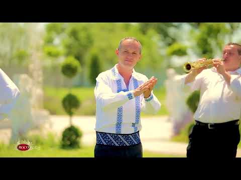 Bebe Dragomir & Danut Mersan - Parul mi-o albit