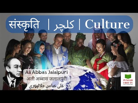 Meaning Of Culture  In Urdu | Culture | کلچر |  संस्कृति | Ali Abbas Jalalpuri #shorts #ytshorts #yt