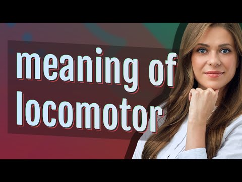 Locomotor | meaning of Locomotor
