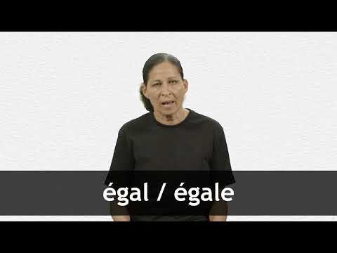 English Translation of “ÉGAL” | Collins French-English Dictionary