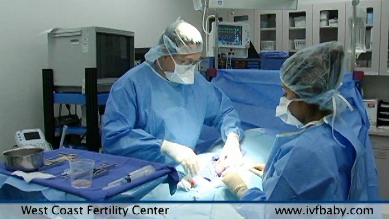 West Coast Fertility Centers: Male Infertility Treatments