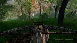Chanterelle - First person Crossbow at Skyrim Special Edition Nexus ...