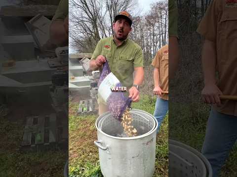 🥜LOUISIANA BOILED PEANUT EXPERIMENT #cajun #recipe