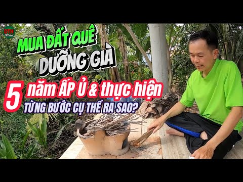 5 Năm Ấp Ủ Giấc Mơ VỀ VN MUA ĐẤT Làm Vườn Sống Đời Bình An Thực Hiện Từng Bước Ra Sao?