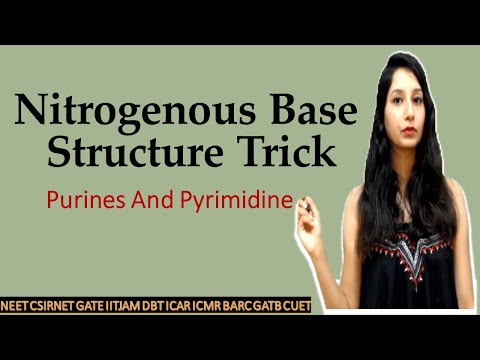 Nucleotide Base Trick To Remember I Easiest Trick to draw Nitrogenous Base