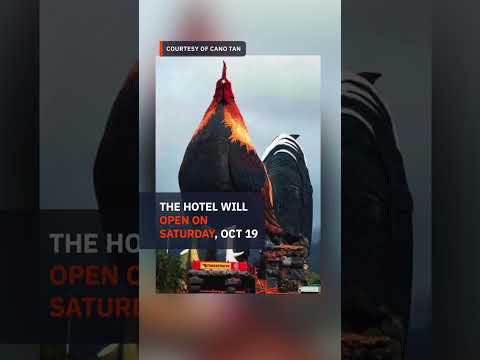 Giant rooster structure in Negros Occidental city sets Guinness record