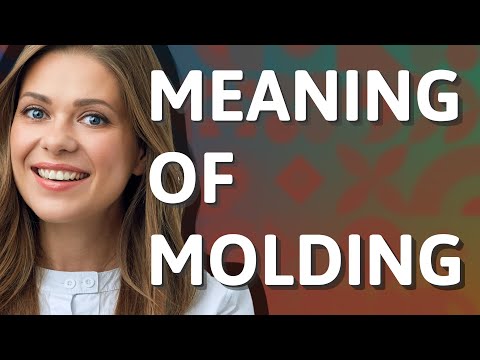 Molding | meaning of Molding