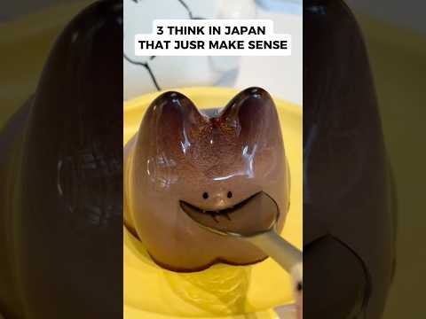 Three Think in Japan That Just Make Sense!