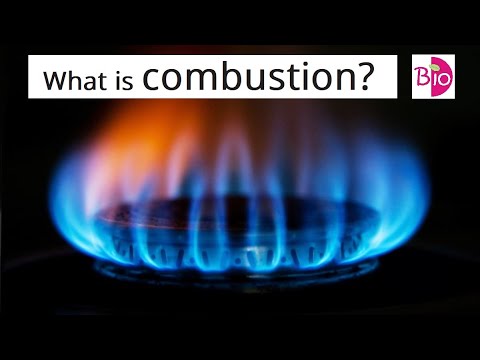 What is combustion? by Simply The Best BIO