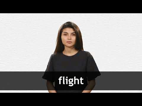 FLIGHT - Definition & Translations | Collins English Dictionary