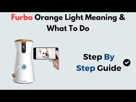 furbo Orange light Meaning & What to Do