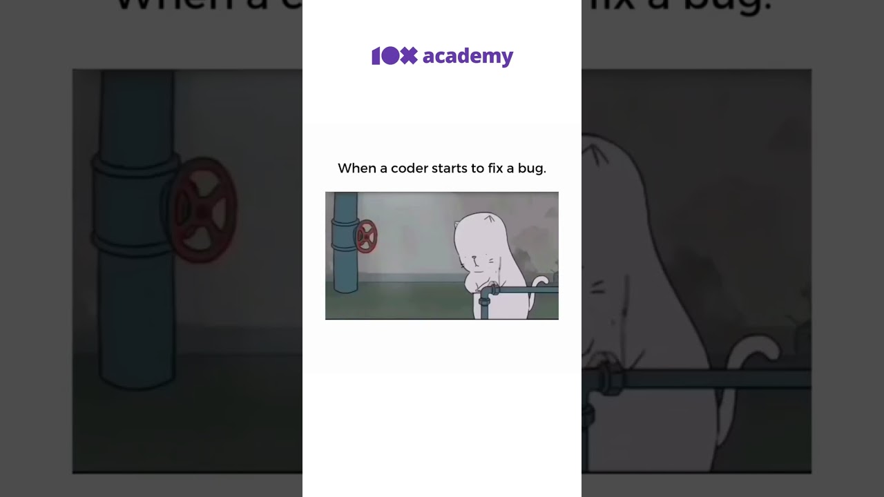 When a coder starts to fix a bug #codingmemes #coding #shorts