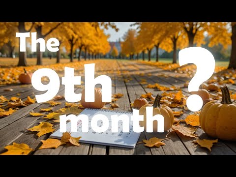 Curious facts about November
