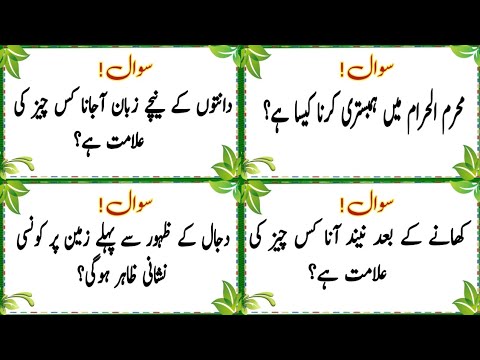 Top Best Islamic Common Sense Paheliyan in Urdu | Dilchaps islami Malomat | Urdu Islamic Quizzes2025