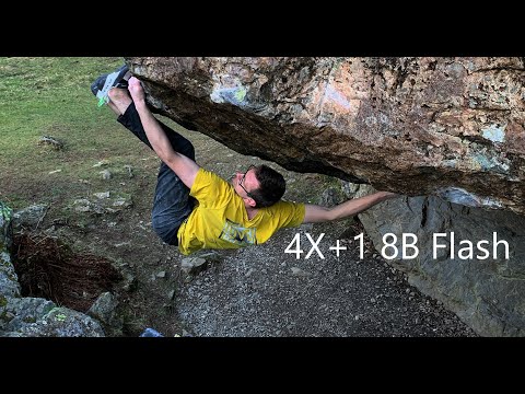 4X+1 8B Flash