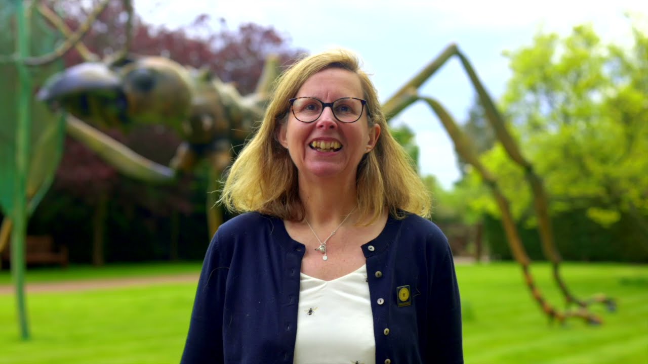 Insect Week 2021 Launch