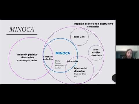 AHD 11.4.21 - MINOCA/Where's the Blockage? H. Iskin