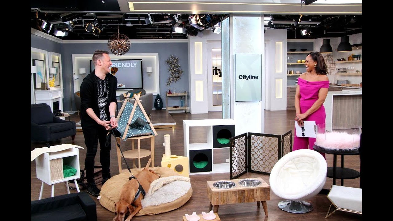 10 purfect pet furniture pieces you wish they made in your size