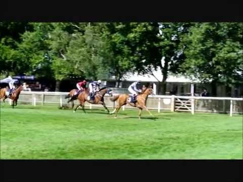 A day at Newmarket Racecourse