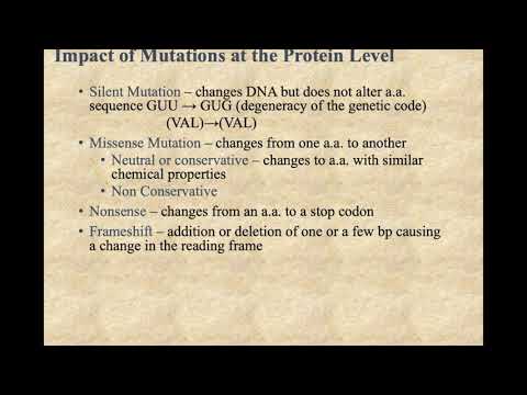 bio210 video lecture mutations