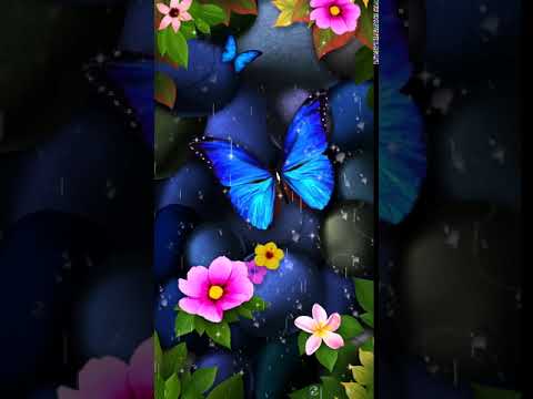 Fall rain butterfly space Animated