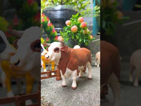 POTONG SAPI JUMBO 😱 #shorts #sapi #sapilucu