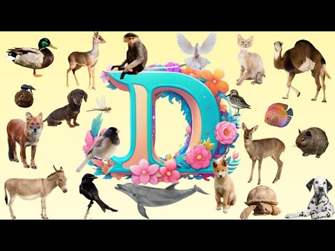 Discover the World of 'D' Animals abc | 21 Animals that Start with D | Master Animals Vocabulary