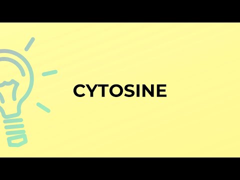 What is the meaning of the word CYTOSINE?