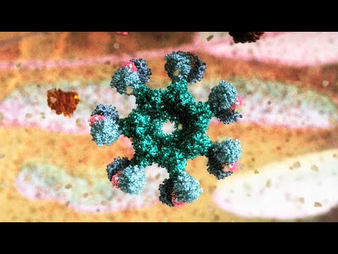 Apoptosis, molecular animation. – new science