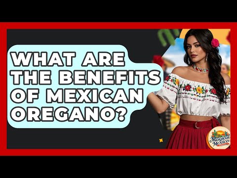 What Are The Benefits Of Mexican Oregano? - Magical Mexico Moments