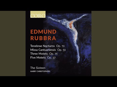 Five Motets, Op. 37: II. Vain Wits and Eyes