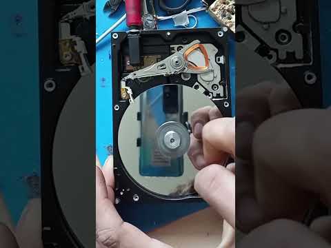 Hard Disk Sub bass synth | Reverb