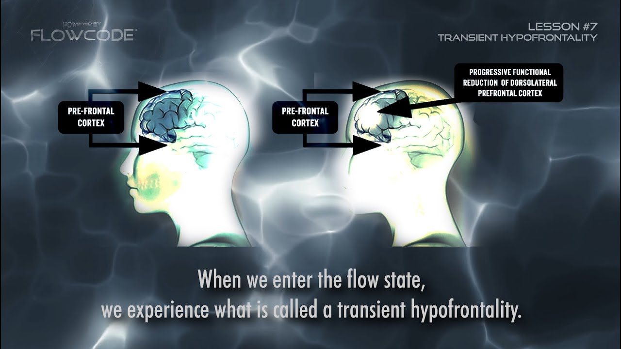 Transient Hypofrontality - FlowCode Lesson #7 / Flow state training