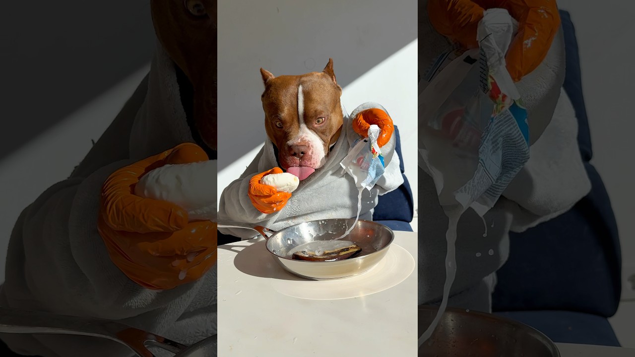 Eggplant Parmesan Recipe by Choco 🍆