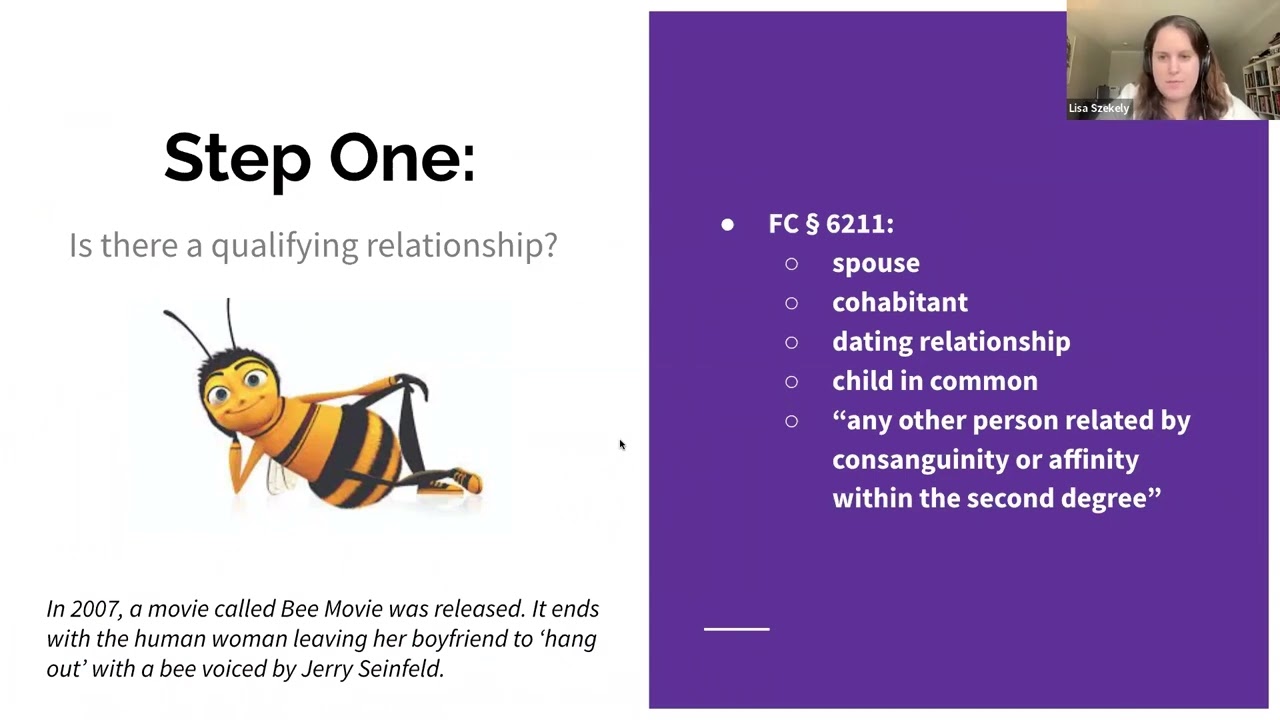 Litigating Your Domestic Violence Restraining Order Case