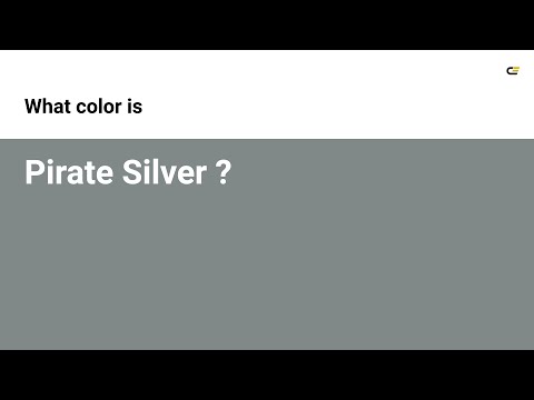 Pirate Silver color #818988 hex color - Grey color - Warm color 818988