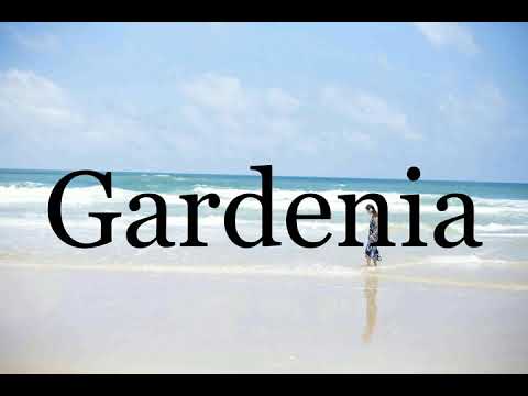 How To Pronounce Gardenia🌈🌈🌈🌈🌈🌈Pronunciation Of Gardenia