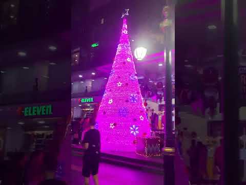 Merry Christmas๐to all YouTube families beautiful#enjoy#beautiful#travel#dicoration#christmas.