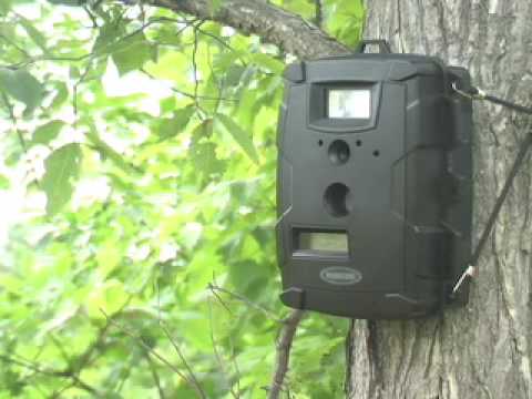 Moultrie GameSpy Trail Camera