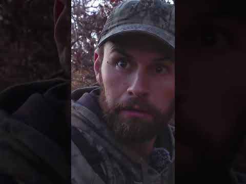 Naming Bucks?