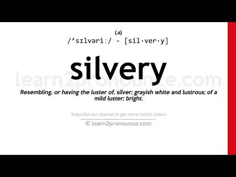 Pronunciation of Silvery | Definition of Silvery