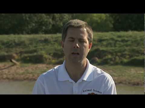 What is Pond Toxicity during a Drought?