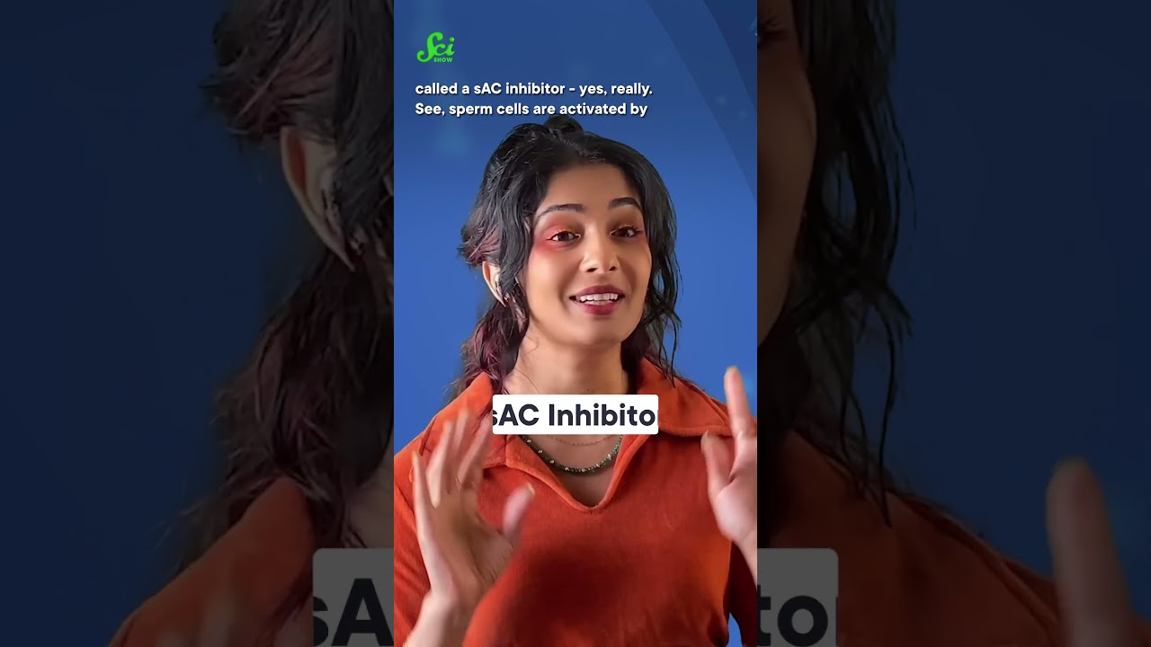 There's a new male birth control in town. #shorts #science #SciShow