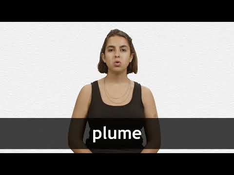 English Translation of “PLUME” | Collins French-English Dictionary