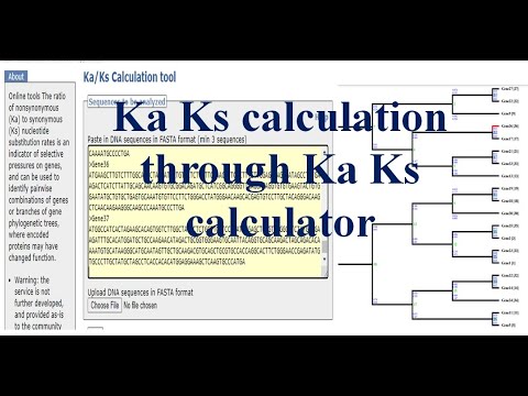how to calculate Ka Ks value | kaks calculator |synonymous and nonsynonymous substitution rate kaks