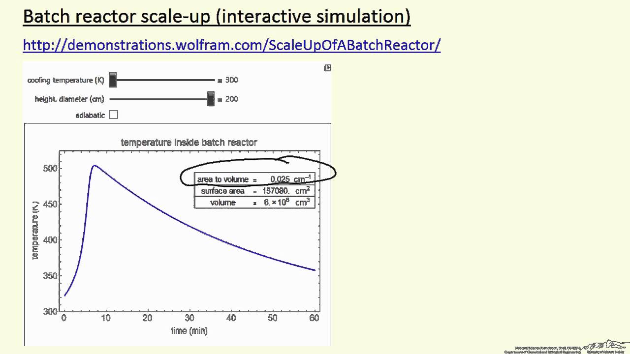 Batch Reactor Scale-Up (Interactive Simulation)