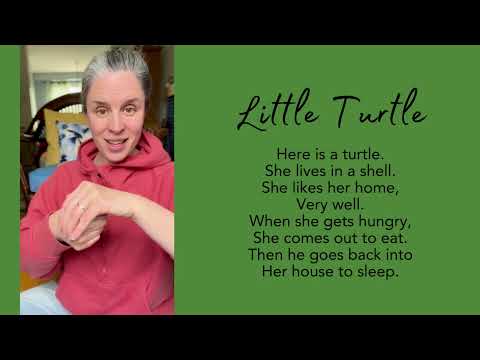 Little Turtle | A Fingerplay Rhyme for Children