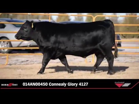 014AN00450 Glory